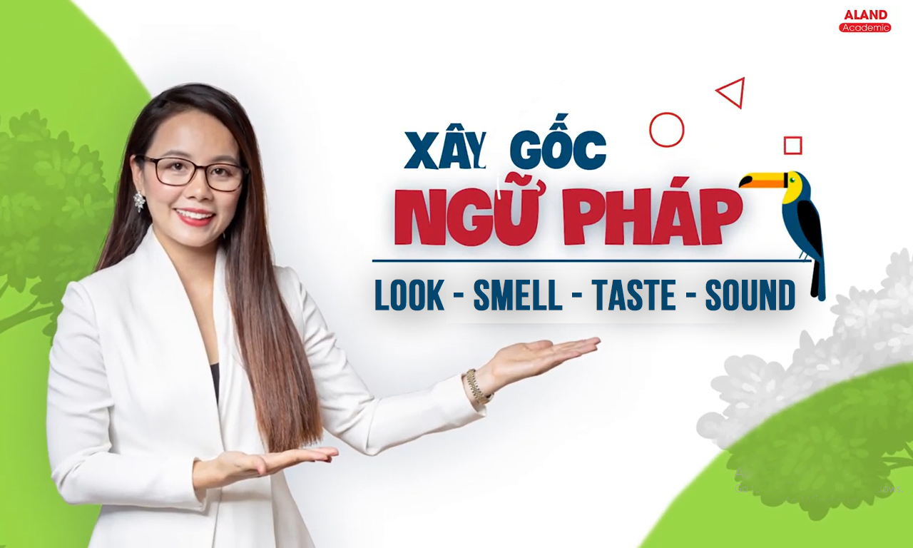 Look – Smell – Taste – Sound – Feel Like - Aland English